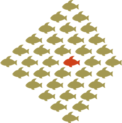 Strategic Planning Discussions with Dr. Ted Fish | News | Brownell Talbot